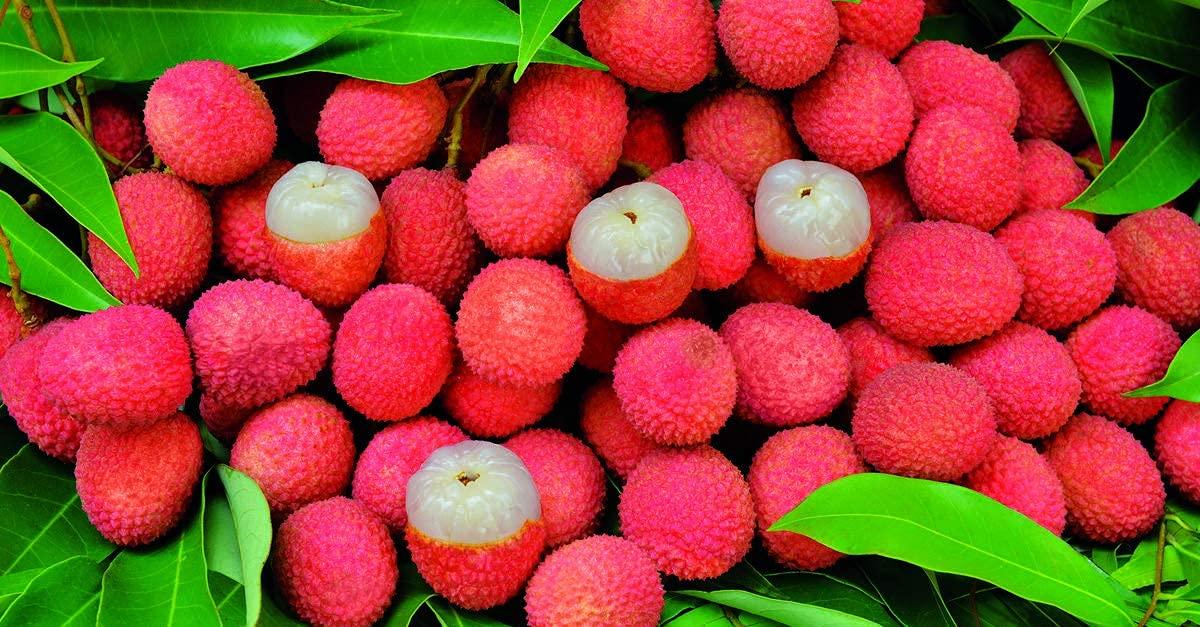 Health Benefits And Adverse Effects of Lychee Fruit - Aaziban