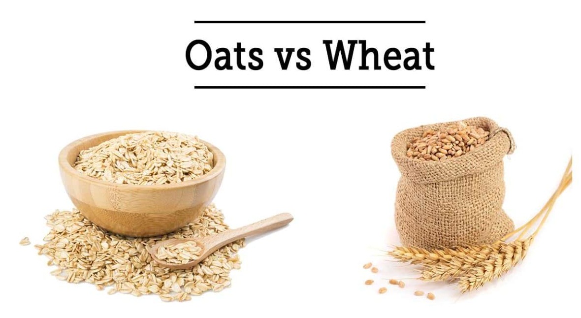 Oats and Wheat: Which Makes for a Healthier Breakfast? - Aaziban