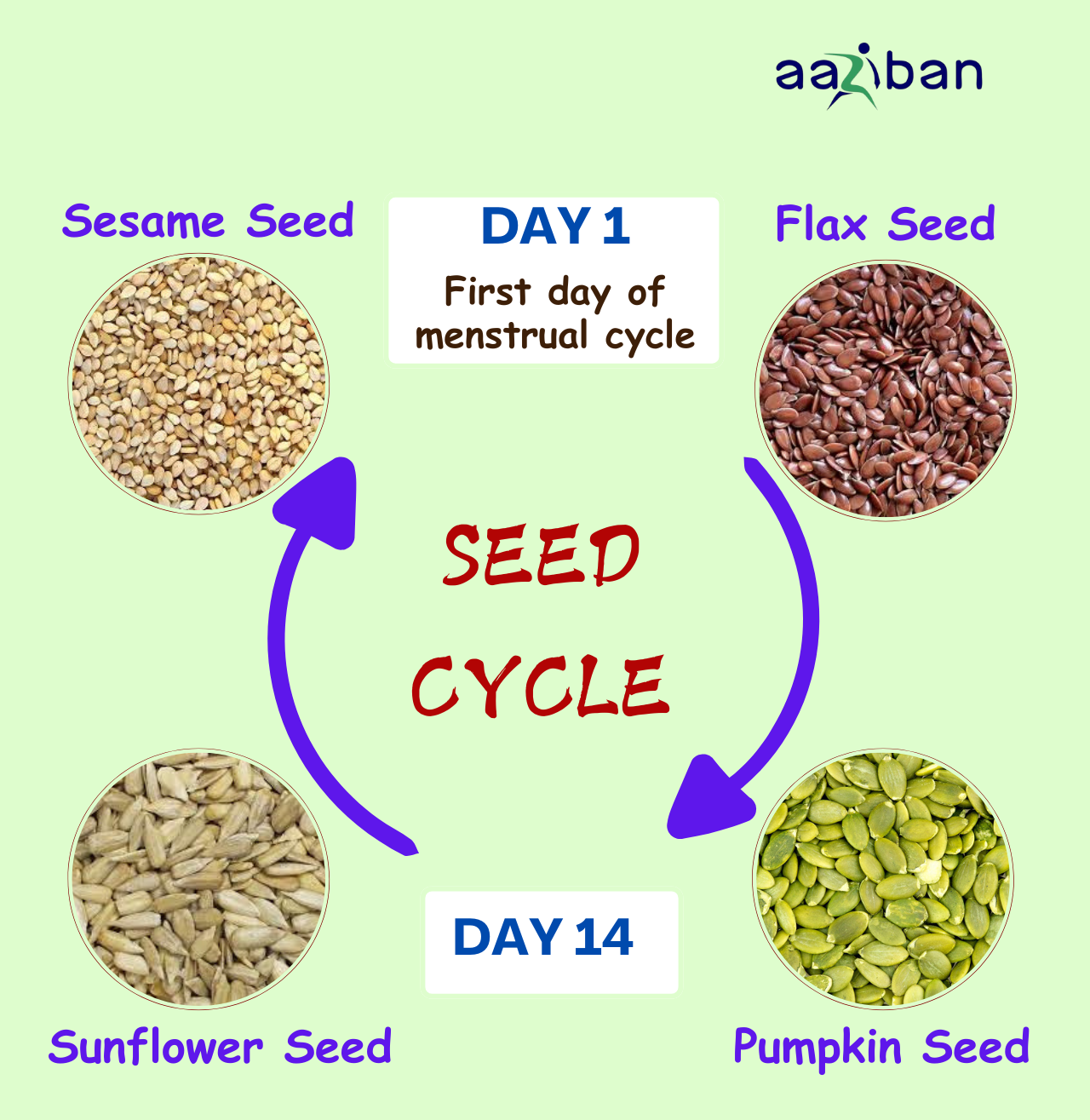 Seed Cycle: Balancing Hormones Naturally